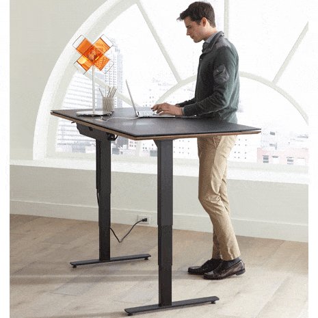 Sequel 20 Lift Standing Desks Vermont Furniture | Modern Design ...